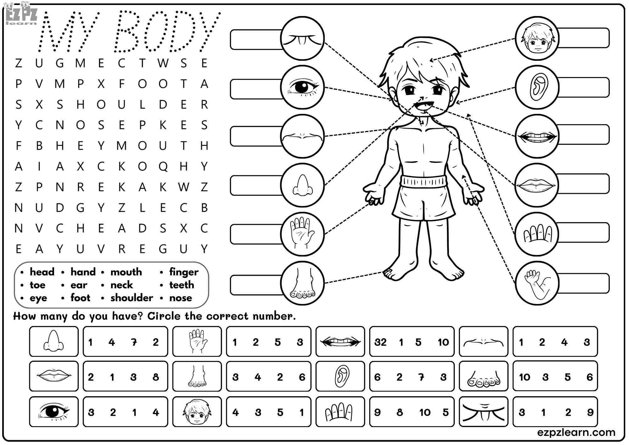 My Body Vocabulary For Kids. Includes: Word Search, Fill in the Blanks ...