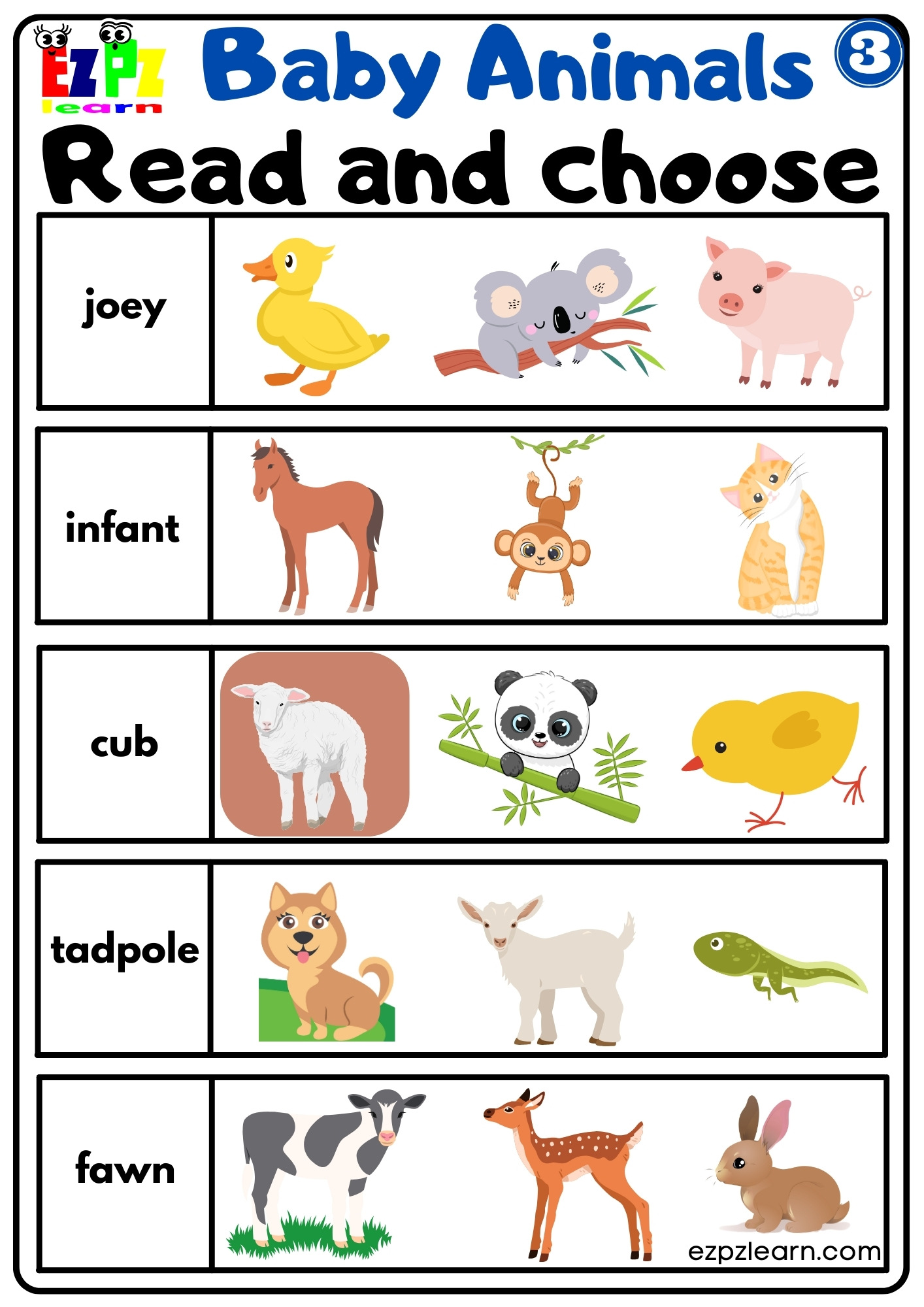 Baby Animals Vocabulary Read and Choose the Correct Images Activity for ...