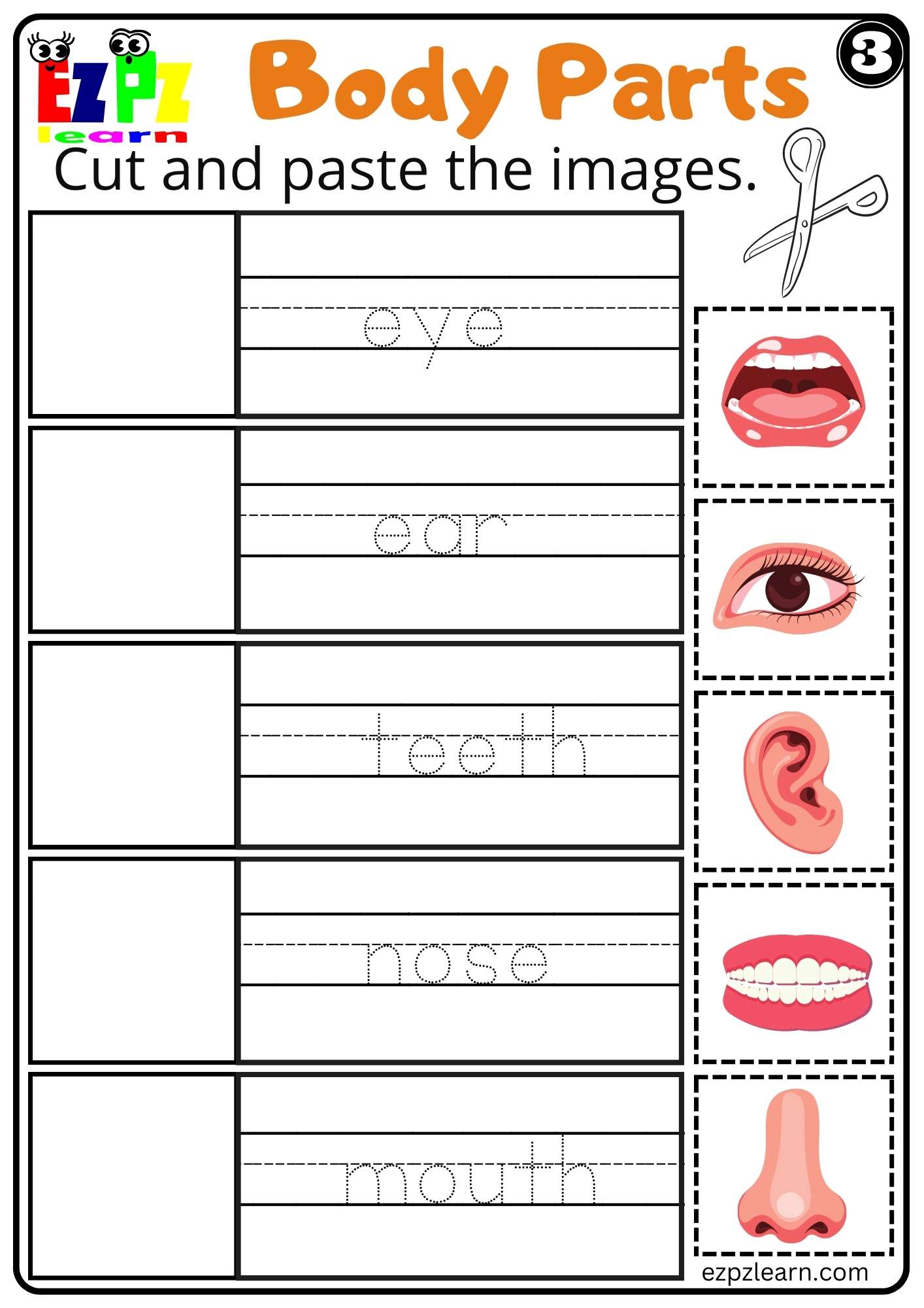 Body - Ezpzlearn.com