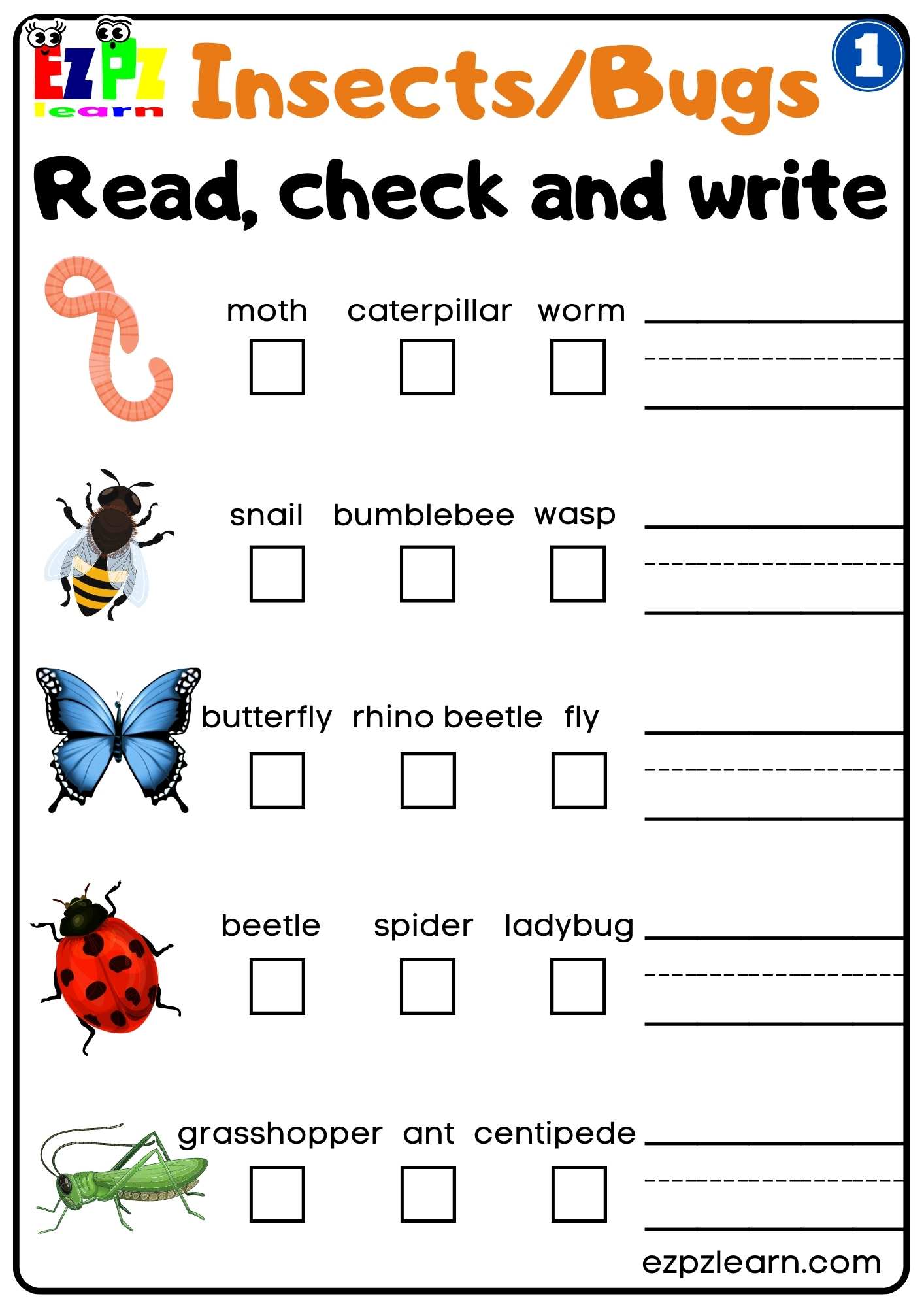 Group 1 Insects and Bugs Read Check and Write Worksheet Free PDF ...