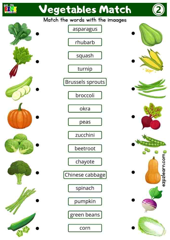 Vegetable Matching Worksheet – Look at the Words and Images and Match ...
