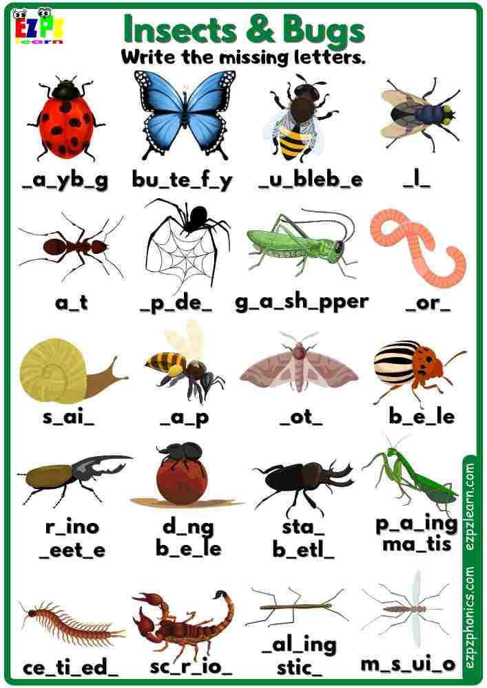 Insects and Bugs Vocabulary Write the Missing Letters Worksheet ...