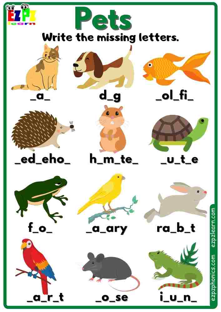 Pets Vocabulary Write the Missing Letters Worksheet - Ezpzlearn.com