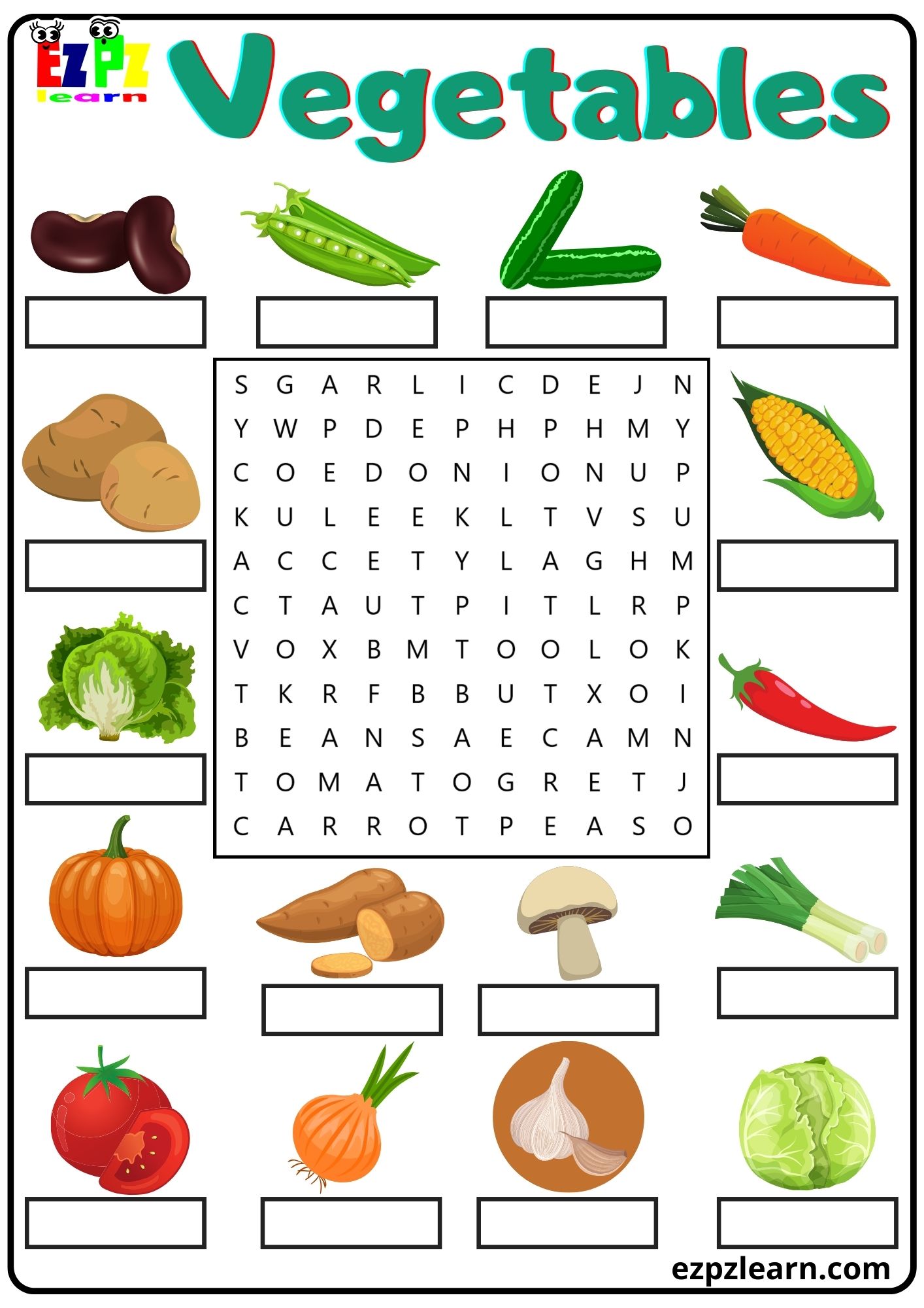 Vegetables Vocabulary Word Search and Write the Words Activity for ...