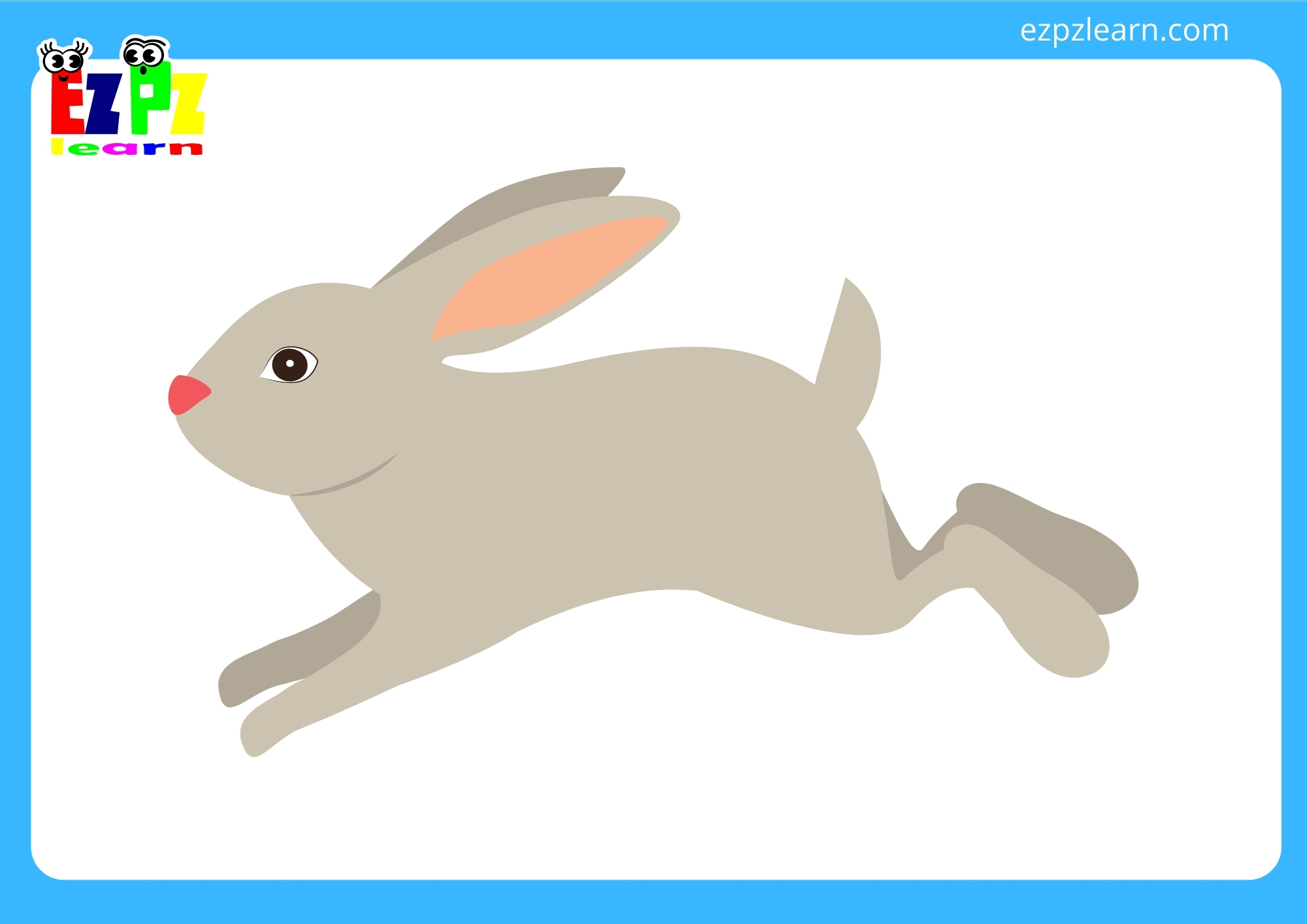 Farm Animals Flashcards No Words View online or free PDF download ...