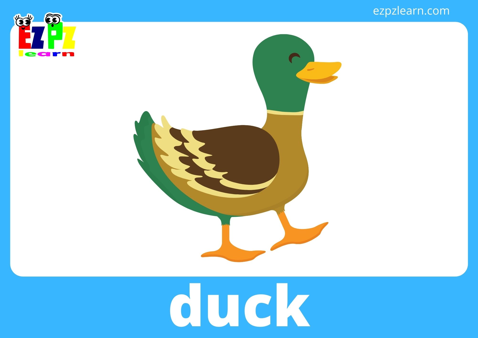 Farm Animals Flashcards with Words Includes: pig, cow, chicken, horse ...