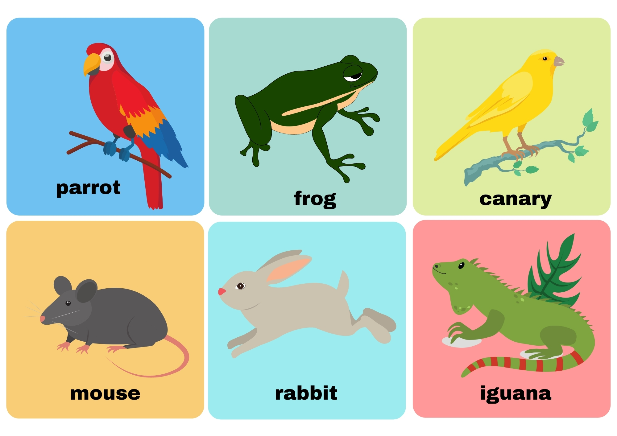 Pets Flashcards Use online or download PDF file Free to use online ...