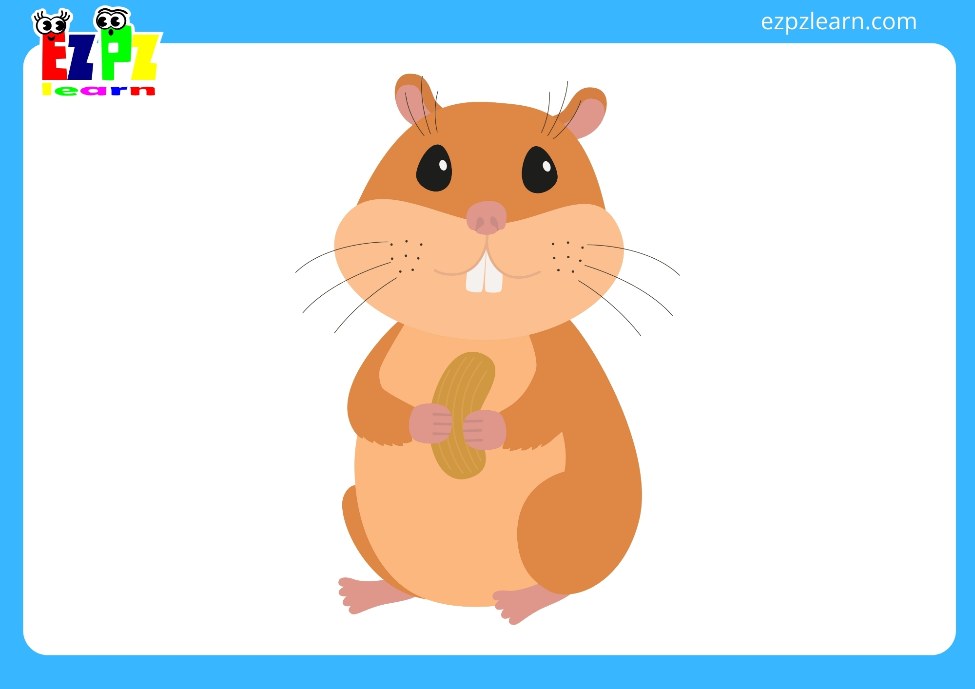 Pets Flashcards Use online or download PDF file Free to use online ...