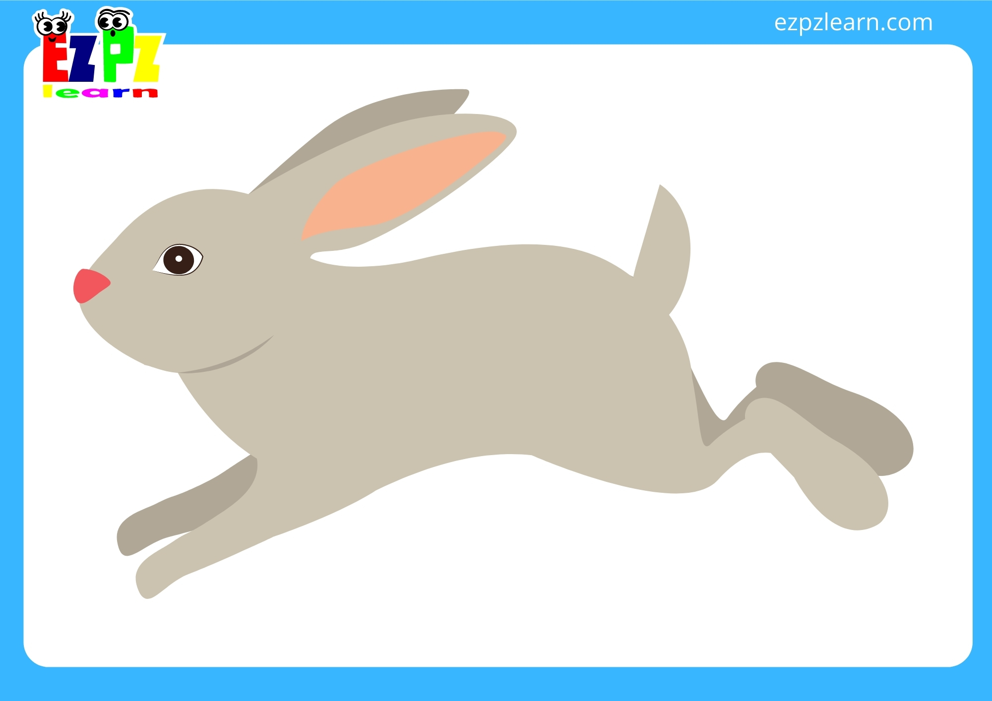 Pets Flashcards Use online or download PDF file Free to use online ...