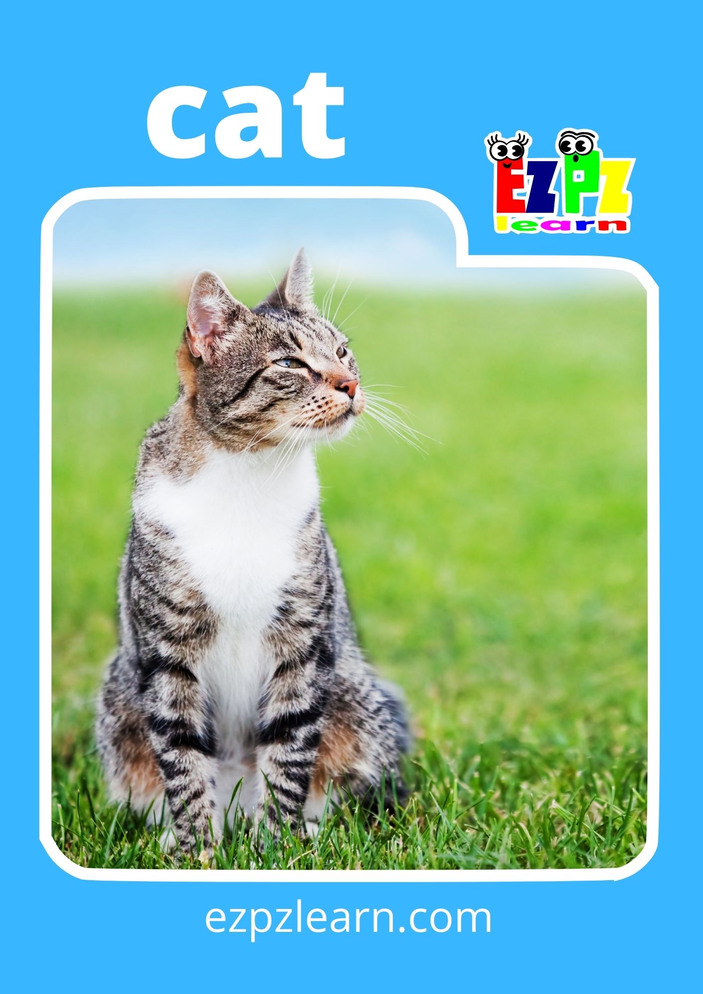 Pets Photo Flashcards - Ezpzlearn.com