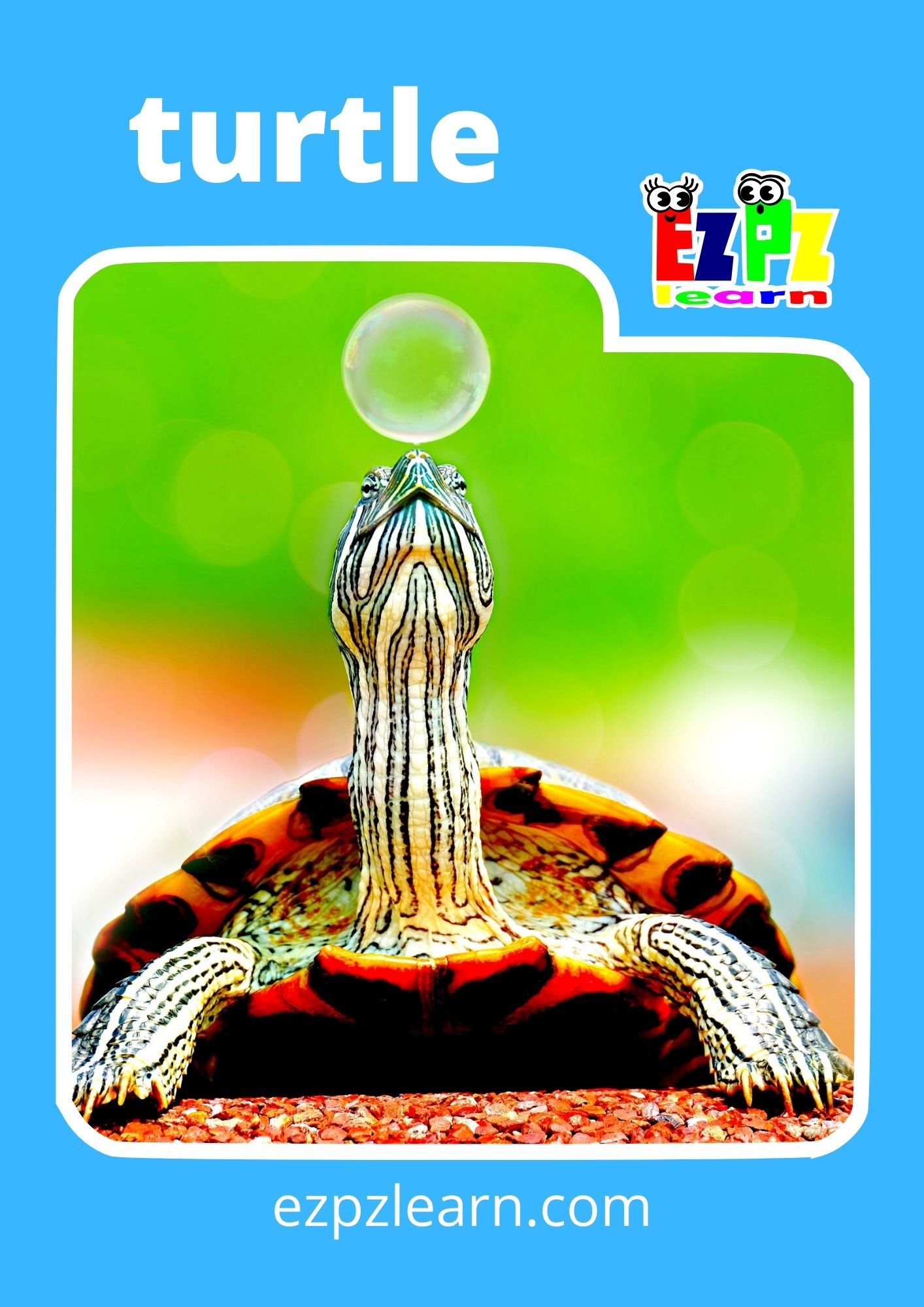 Pets Photo Flashcards - Ezpzlearn.com