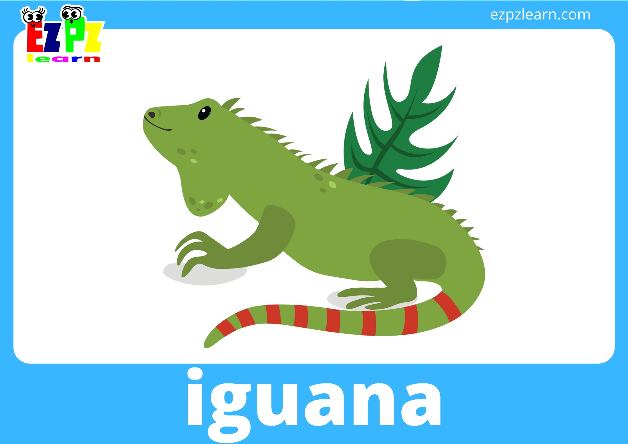 Pets Flashcards Use online or download PDF file - Ezpzlearn.com