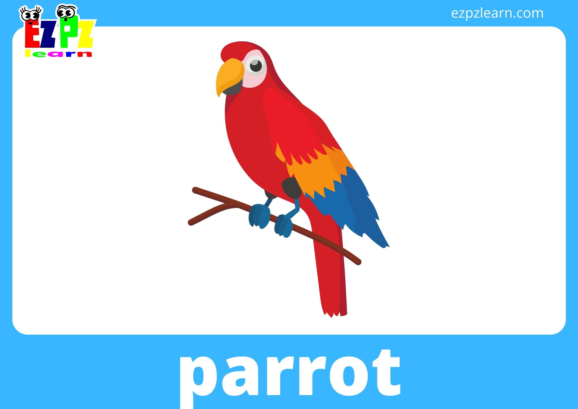 Pets Flashcards Use online or download PDF file - Ezpzlearn.com