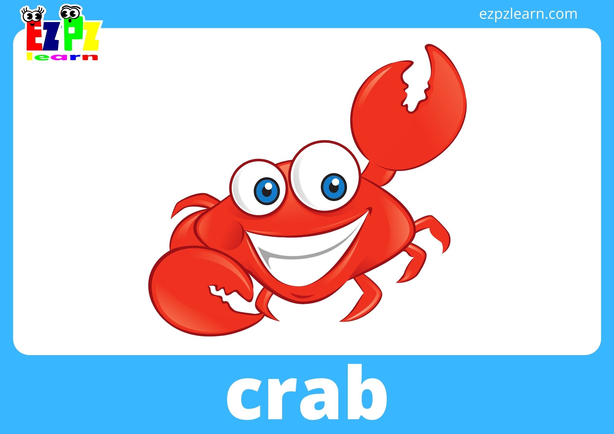 Sea Animal Flashcards With Words use online or PDF download 15 pages ...