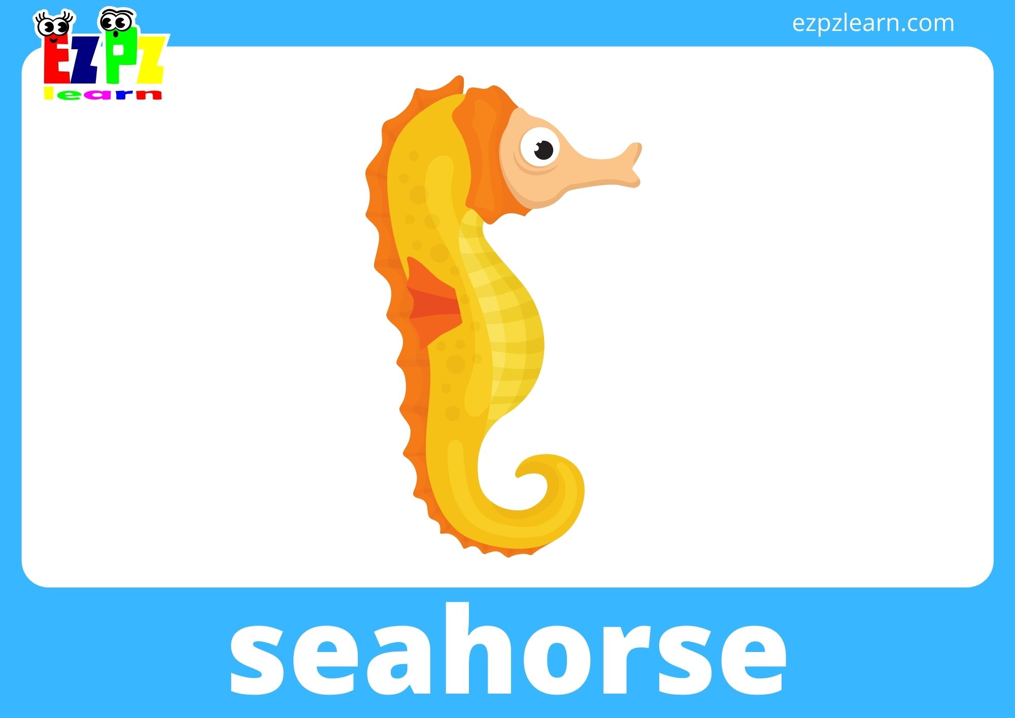 Sea Animal Flashcards With Words use online or PDF download 15 pages ...