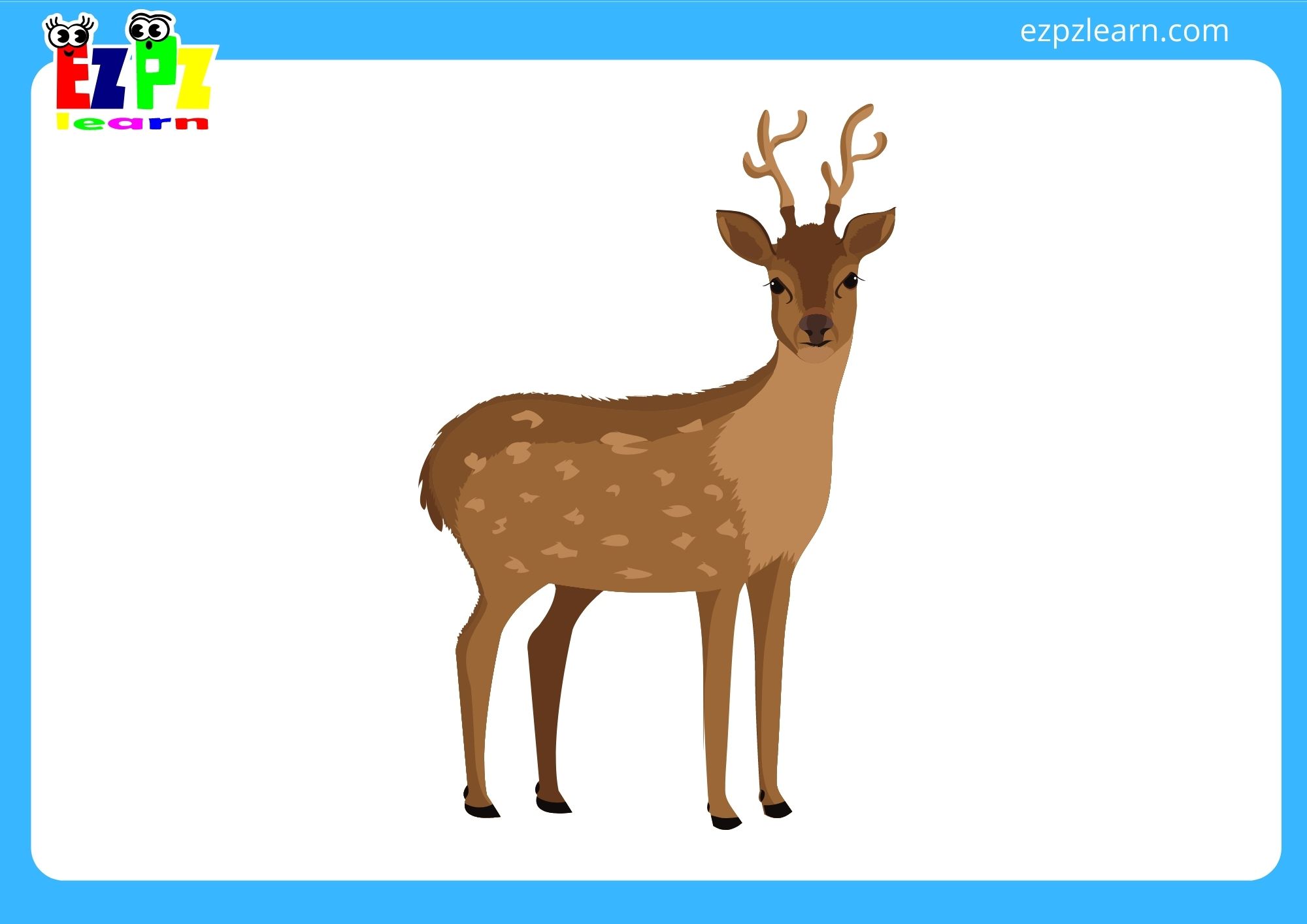 Wild Animal Flashcards No Words Contains 22 Pages use online or free ...