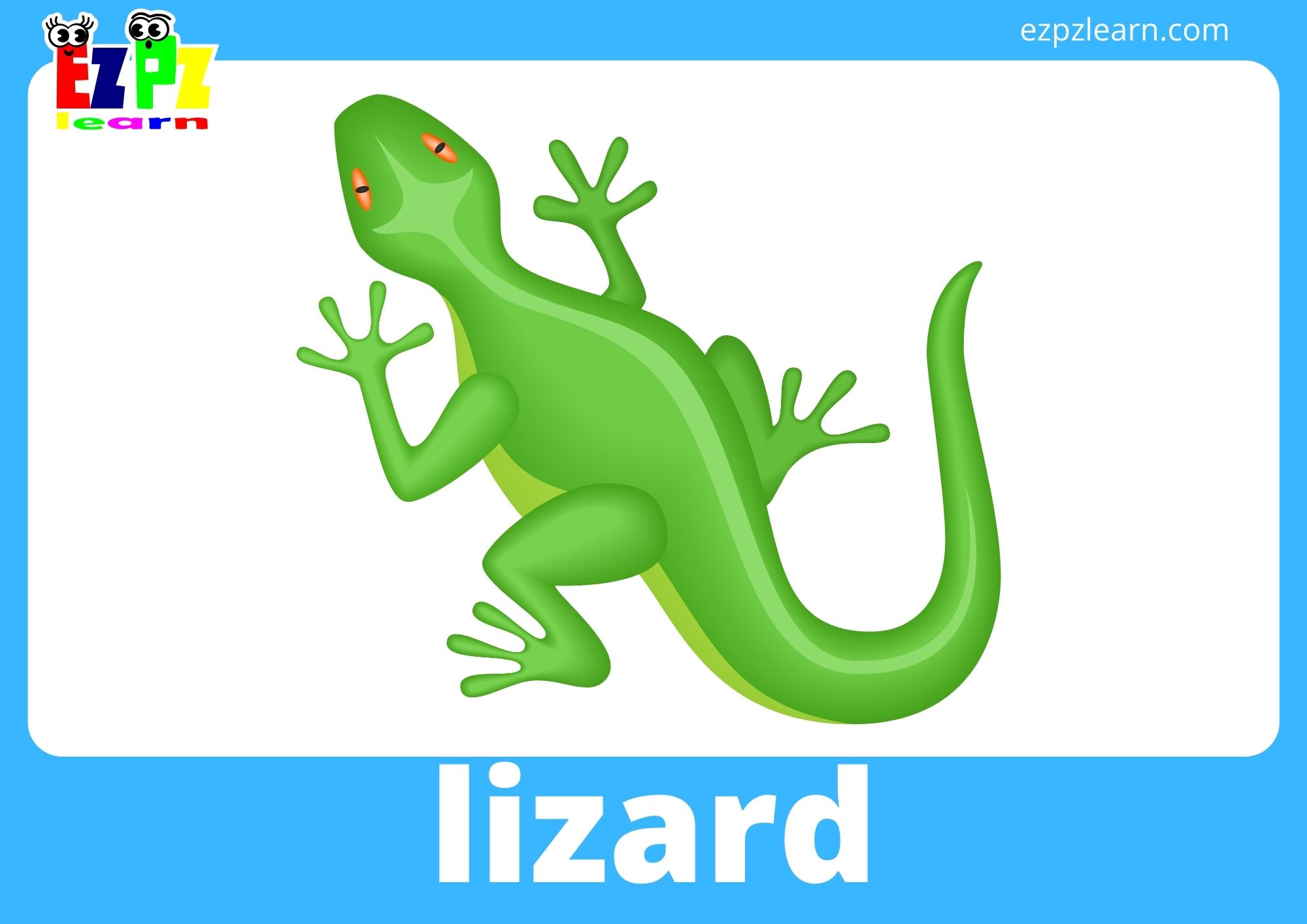 Wild Animal Flashcards With Words use online or free PDF download ...