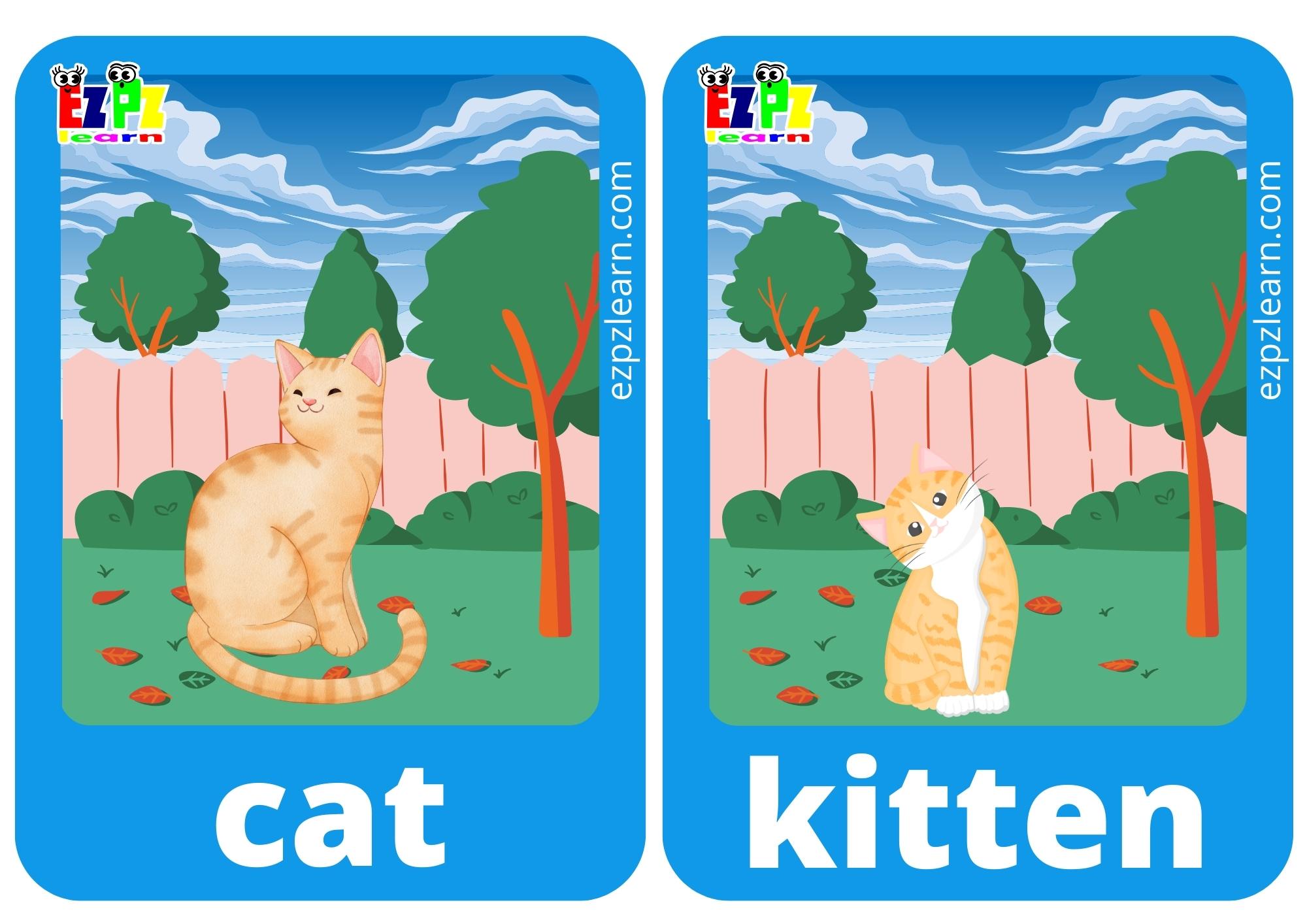 Animals and Their Young Mini Color Flashcards for Kindergarten and ...