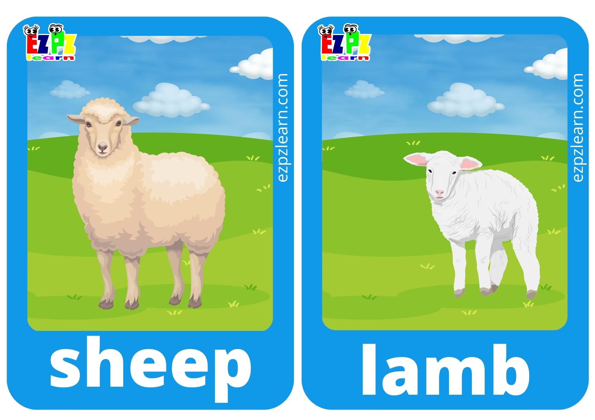 Animals and Their Young Mini Color Flashcards for Kindergarten and ...