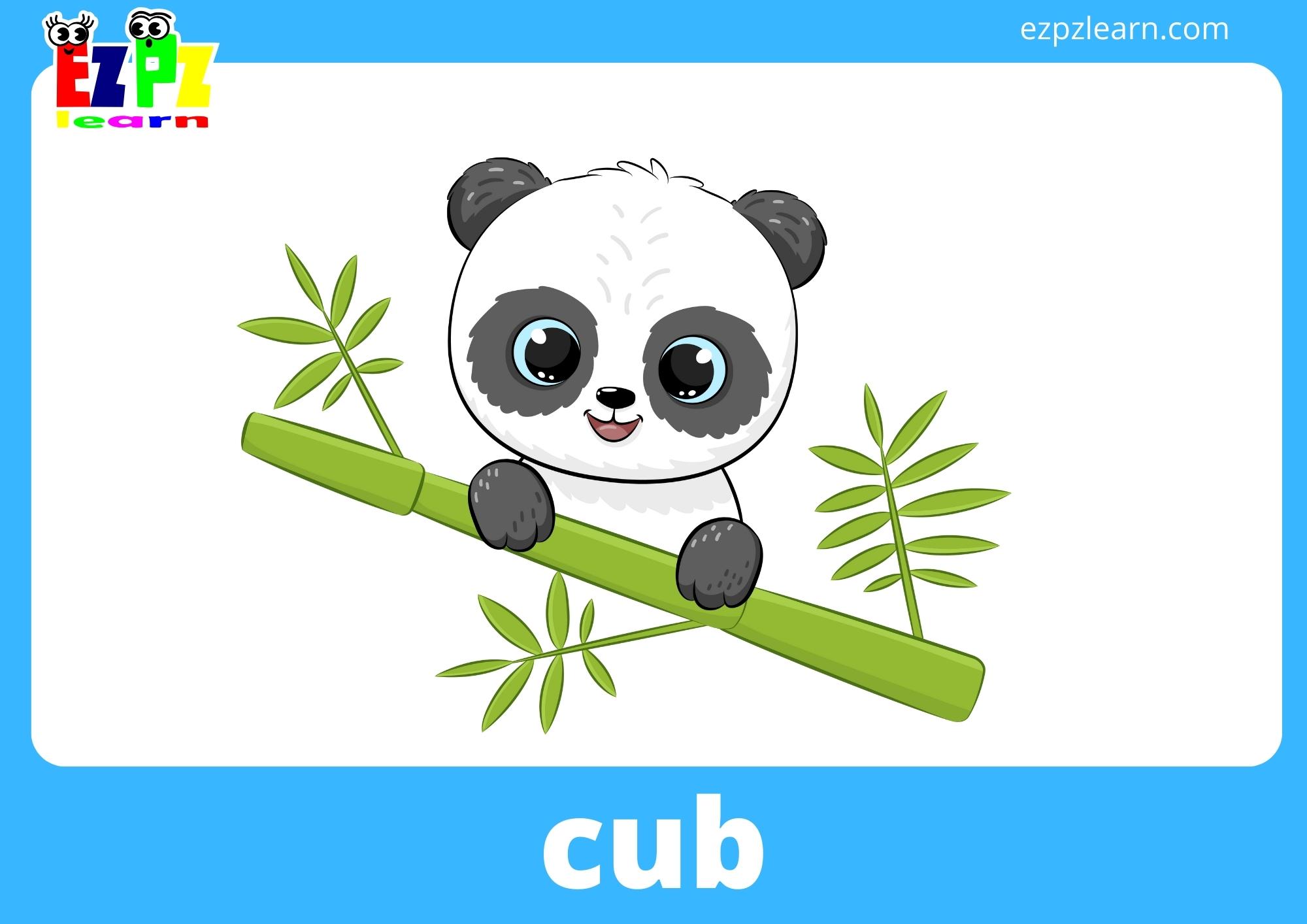 Baby Animals Vocabulary Flashcards for English Language Learners and ...