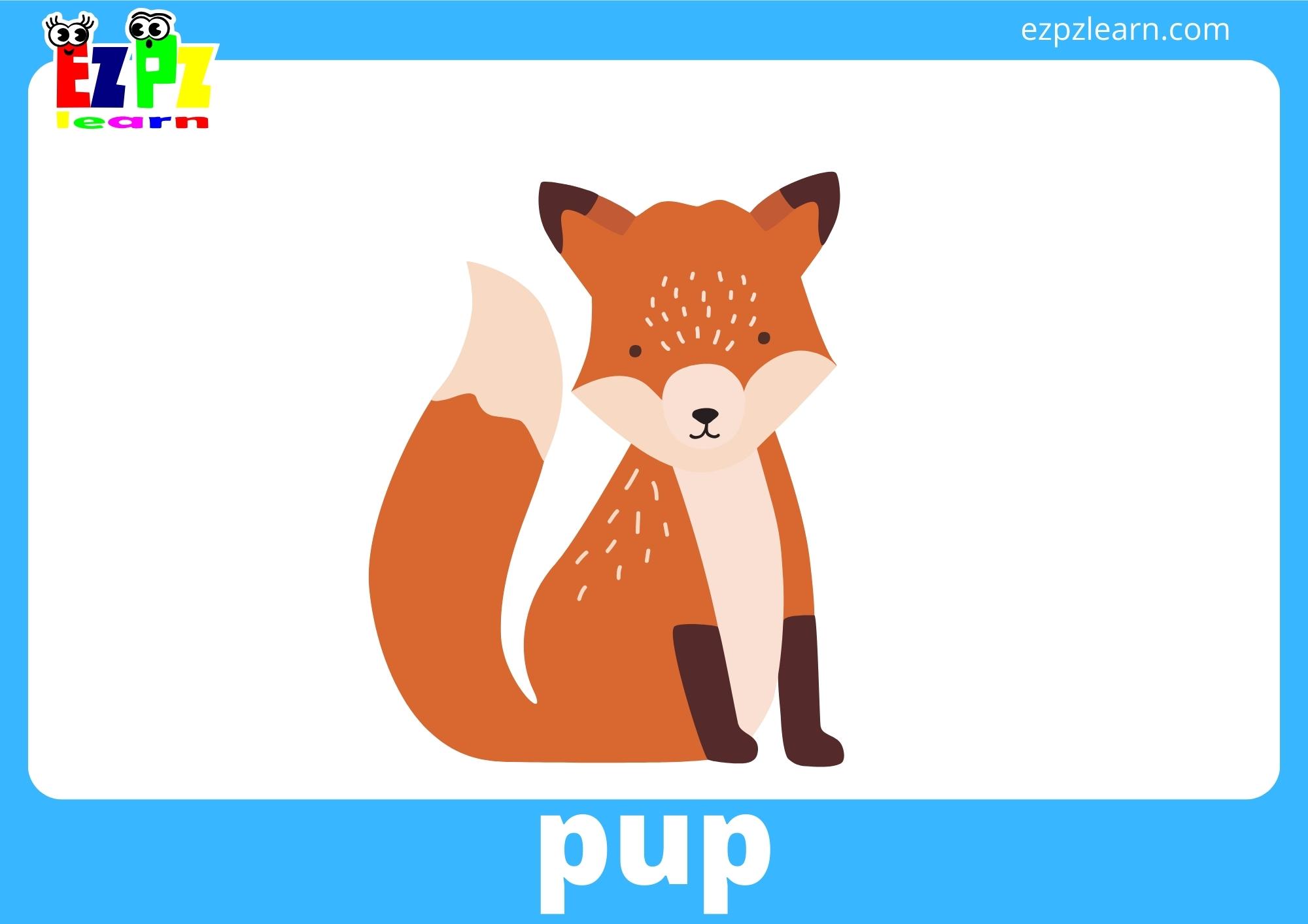 Baby Animals Vocabulary Flashcards for English Language Learners and ...