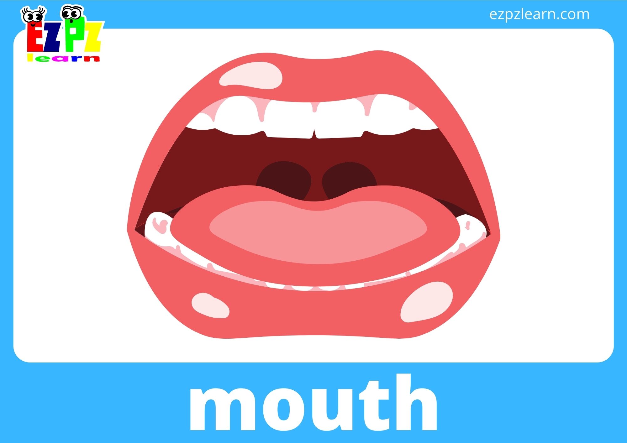 Body Parts Flashcards With Words View Online or PDF Download ...