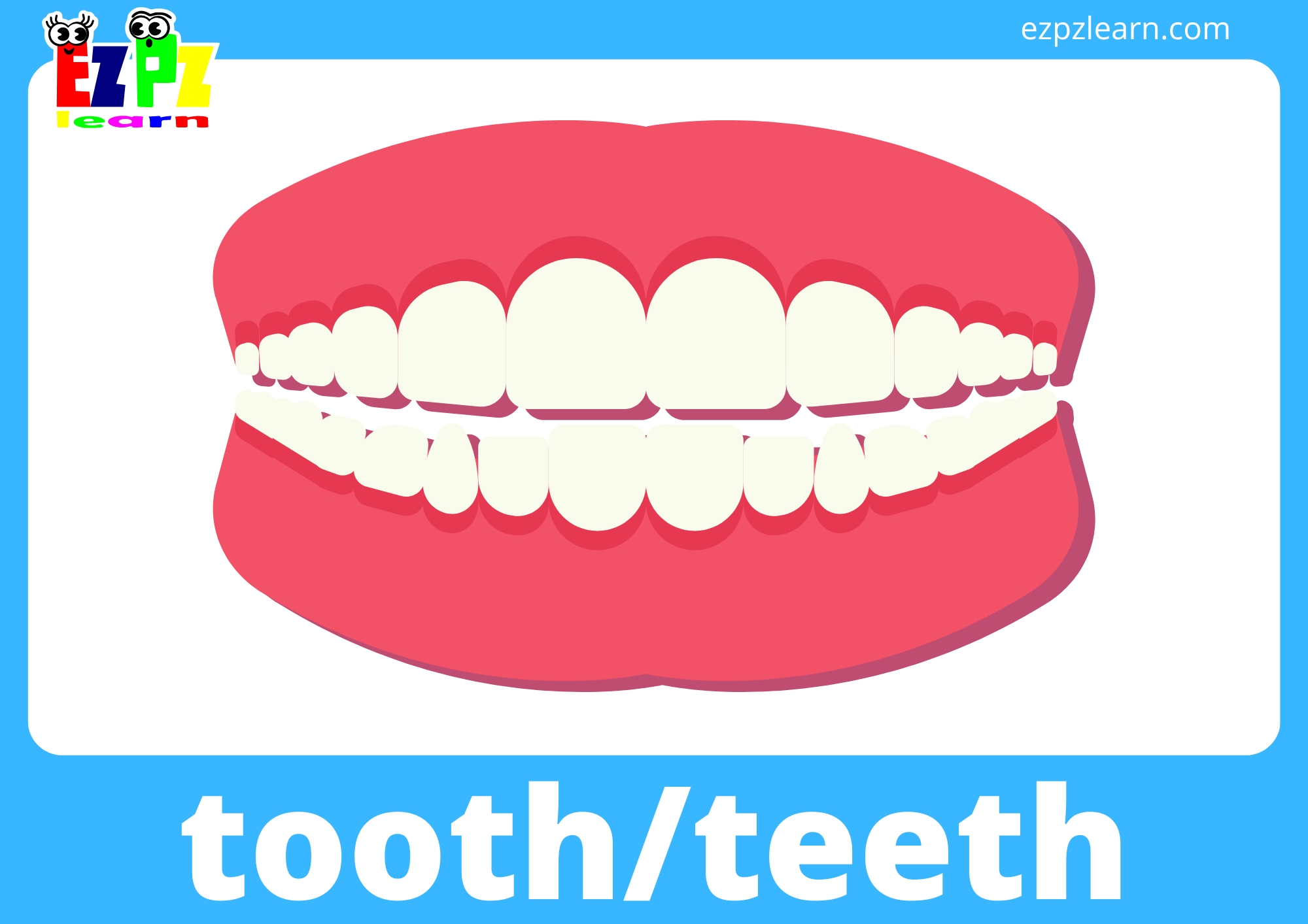 Body Parts Flashcards With Words View Online or PDF Download ...