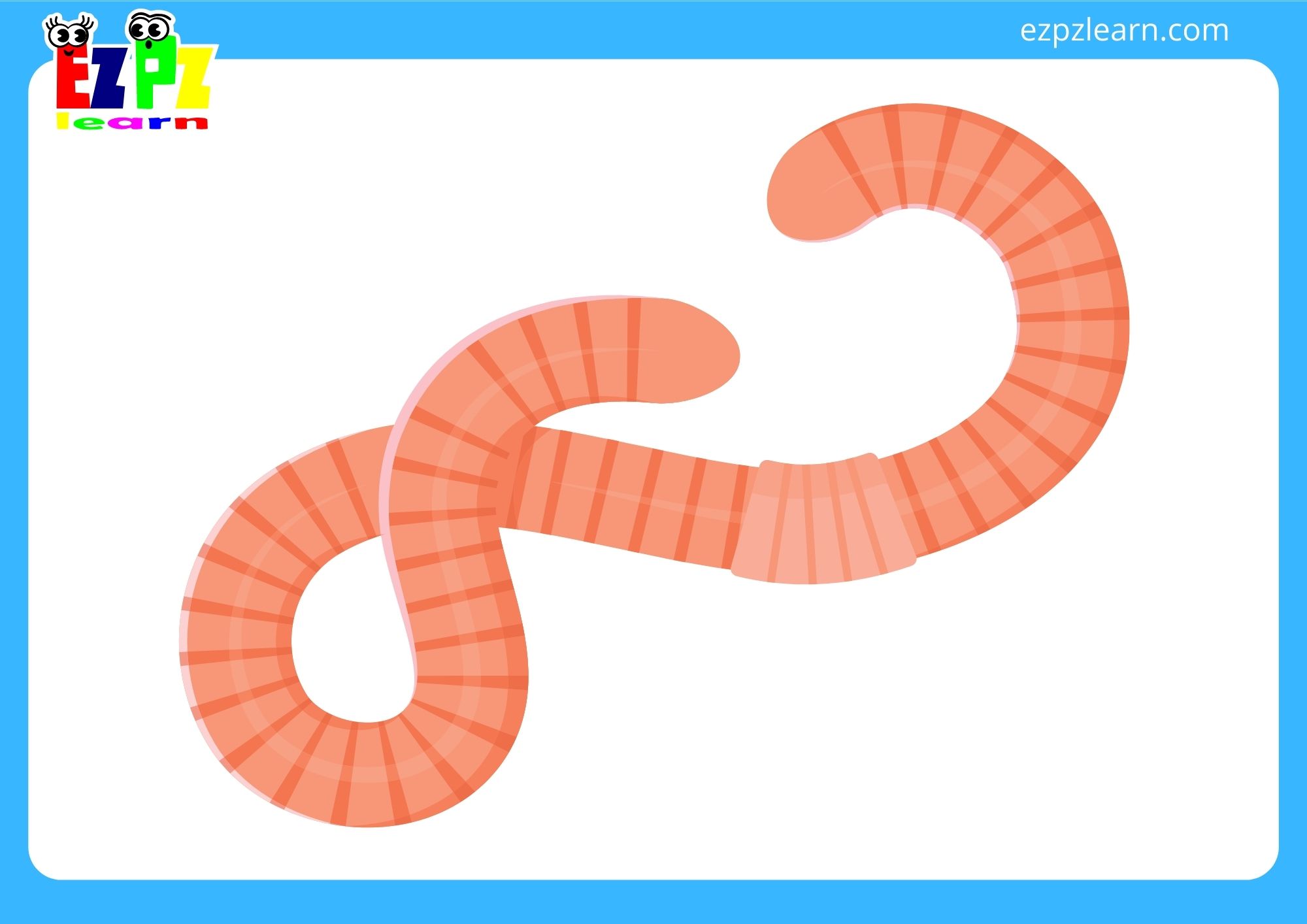 Insects & Bugs Flashcards View Online or Free Download PDF - Ezpzlearn.com