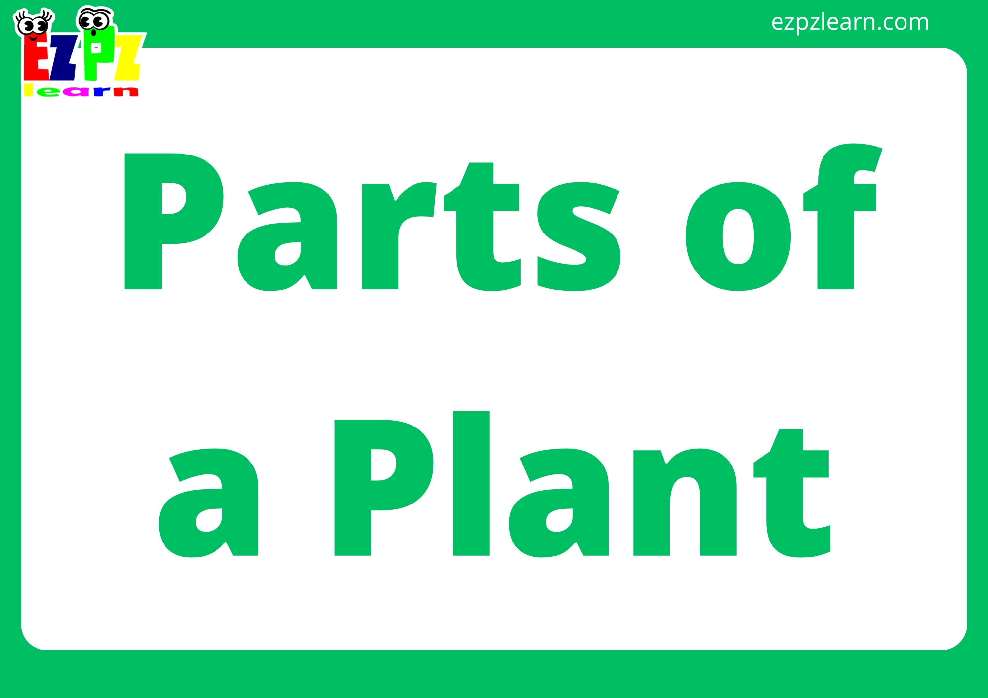 Plants Flashcards Free PDF Printable Download Part of a Plant. Things ...