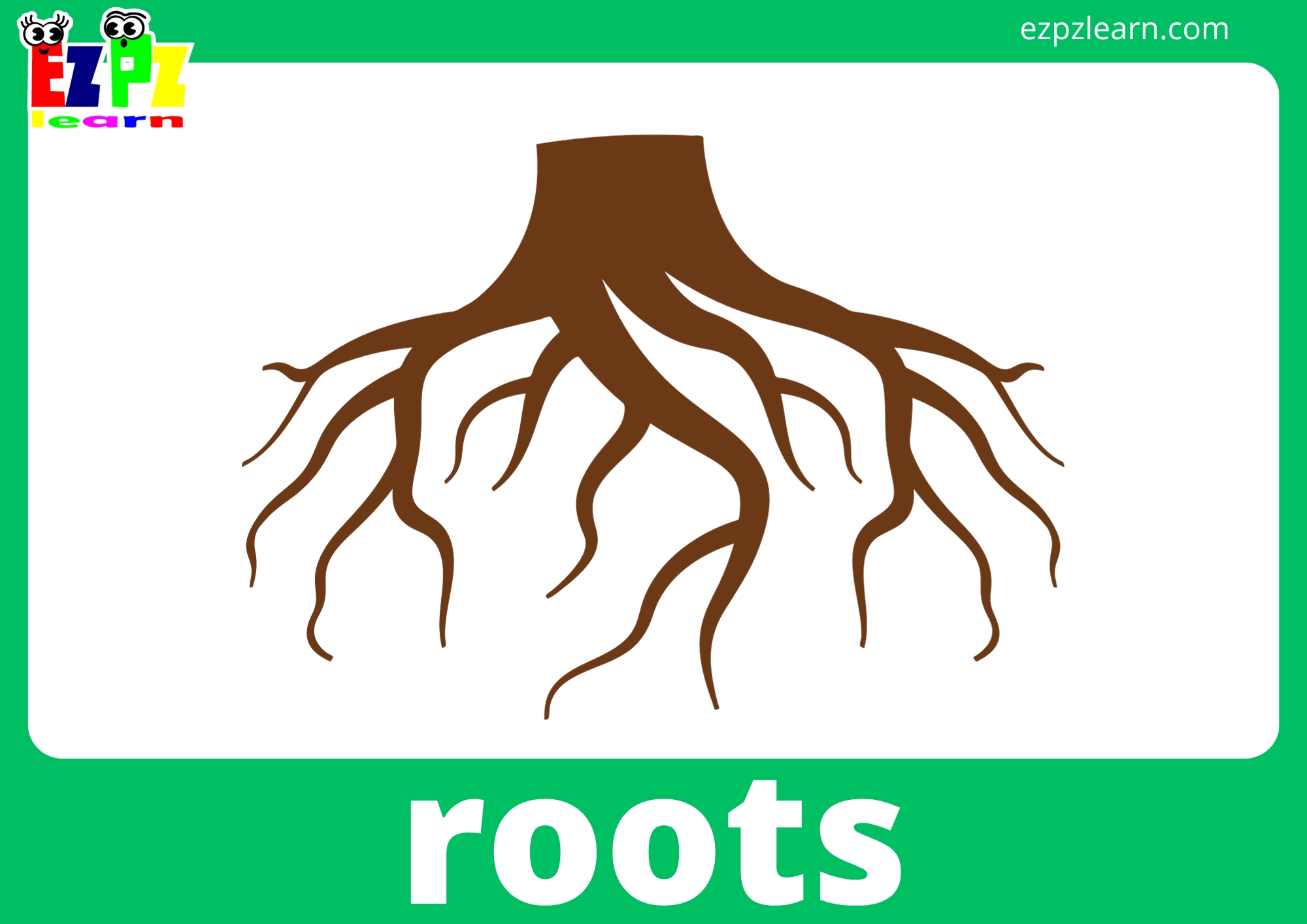 Plants Flashcards Free PDF Printable Download Part of a Plant. Things ...