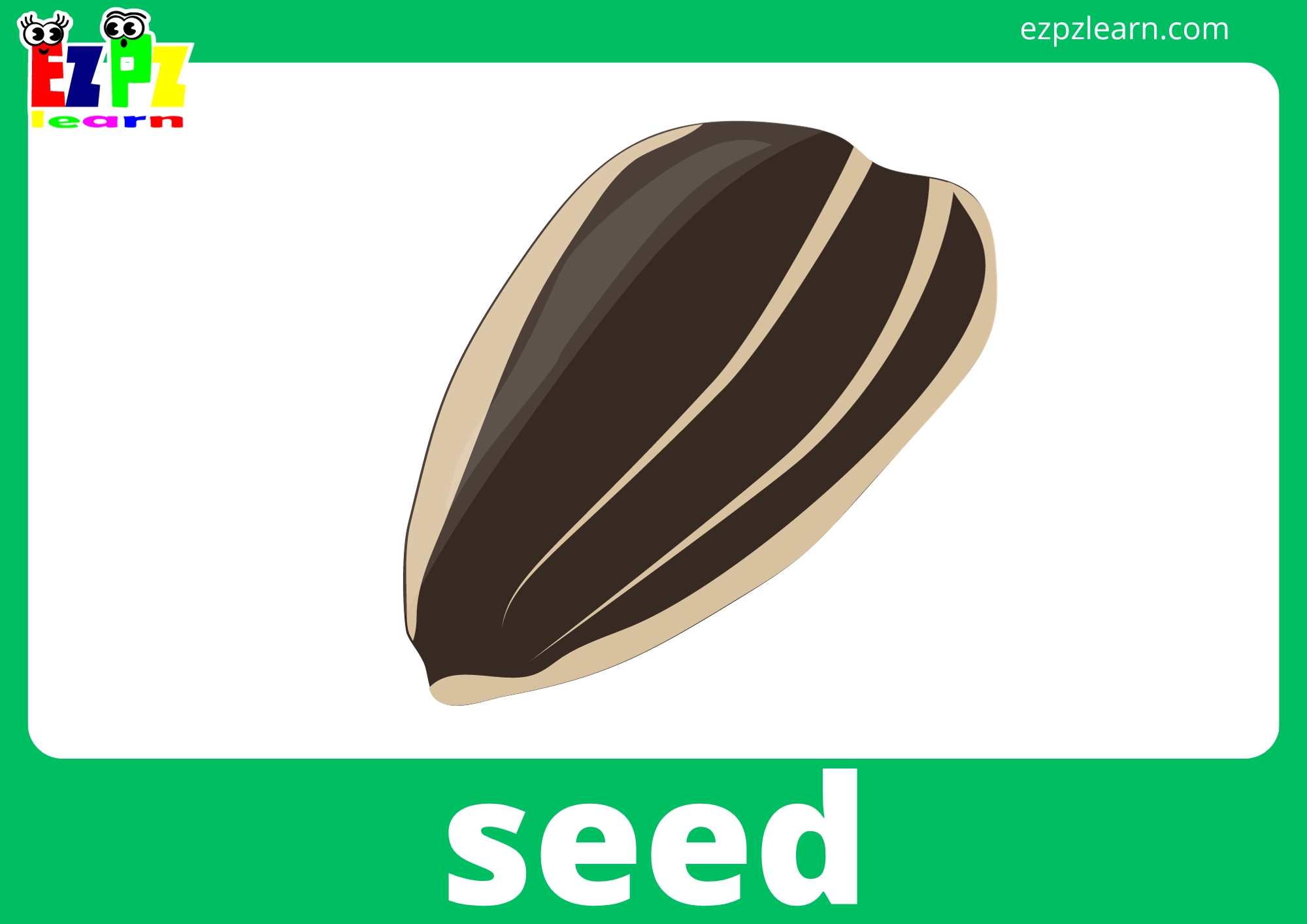 Plants Flashcards Free PDF Printable Download Part of a Plant. Things ...