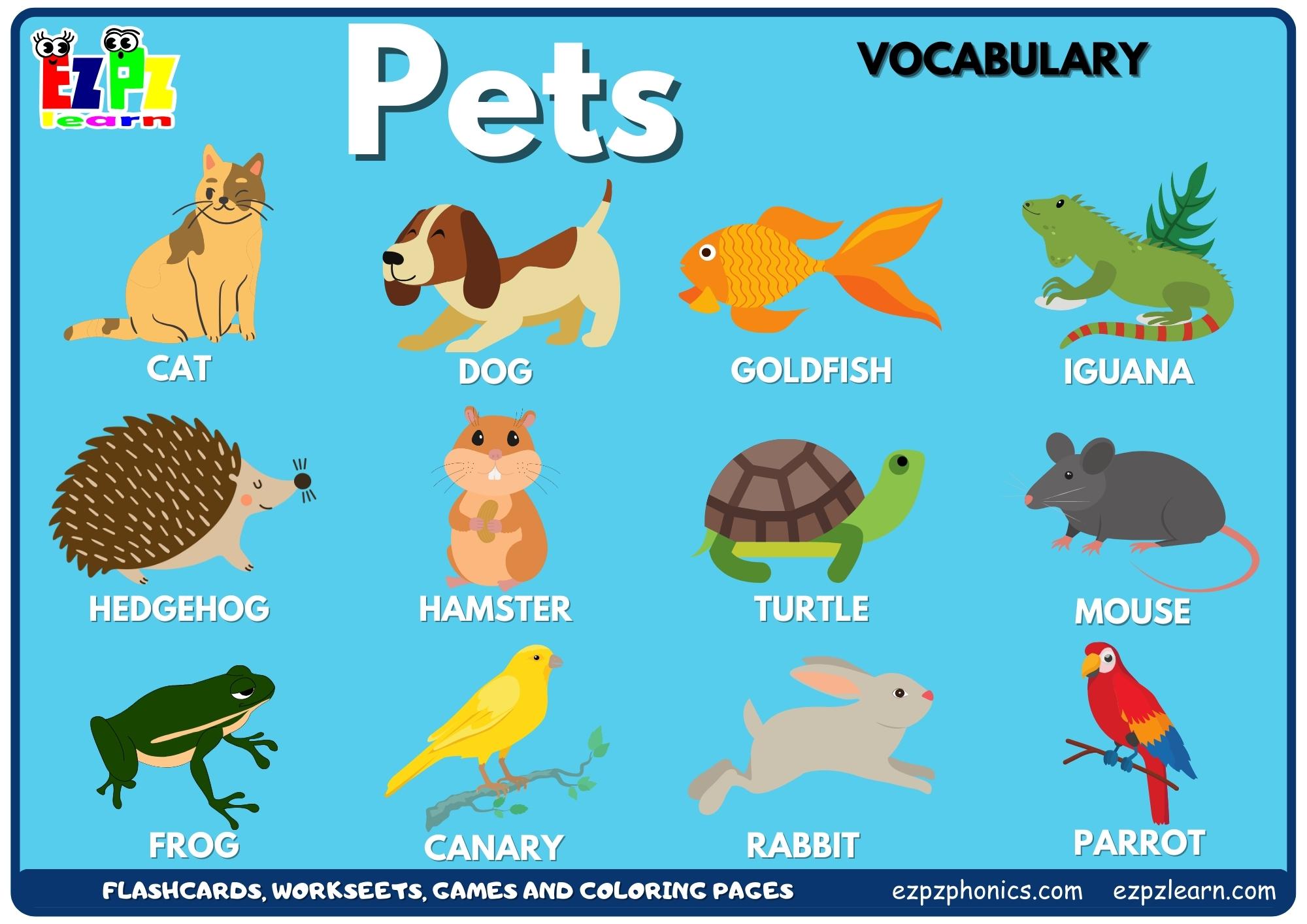 Pets - Ezpzlearn.com