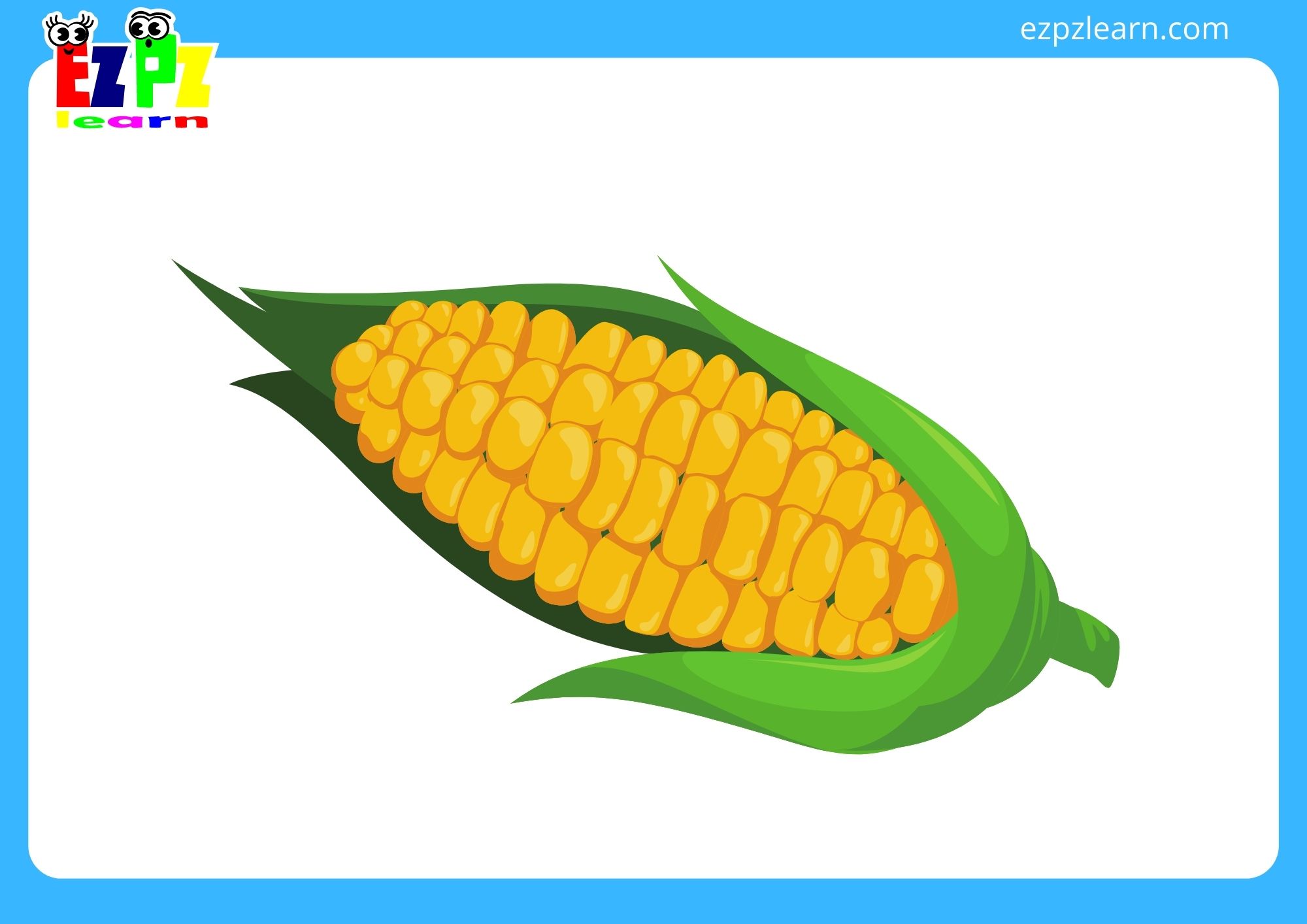 Vegetables Flashcards without words. Use online or free PDF download ...